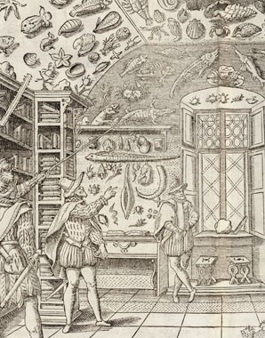 The museum of Ferrante Imperato, 1599 | Die Welt der Habsburger